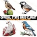 Official State Birds Clipart Bundle SVG and PNG Files Commercial Use ...