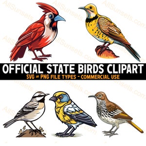 Official State Birds Clipart Bundle SVG and PNG Files Commercial Use ...