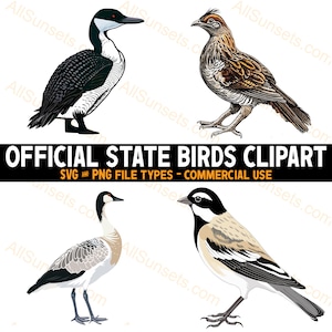Official State Birds Clipart Bundle SVG and PNG Files Commercial Use ...