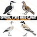 Official State Birds Clipart Bundle SVG and PNG Files Commercial Use ...