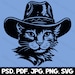 Cat Wearing Cowboy Hat Svg Png Svg Jpg Psd File Types Cool Fluffy ...