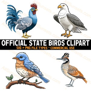 Official State Birds Clipart Bundle SVG and PNG Files Commercial Use ...