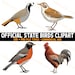 Official State Birds Clipart Bundle SVG and PNG Files Commercial Use ...