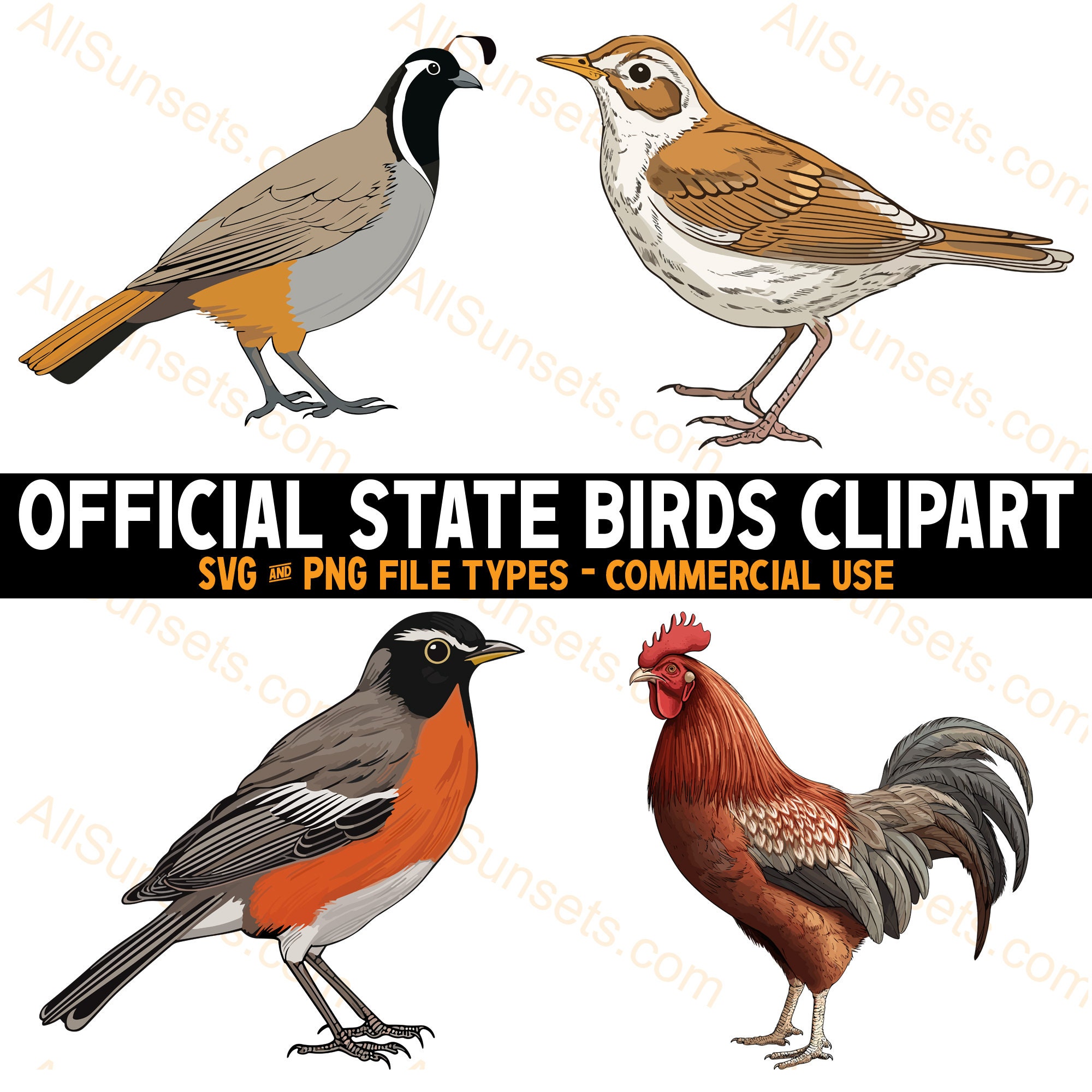 Official State Birds Clipart Bundle SVG and PNG Files Commercial Use ...