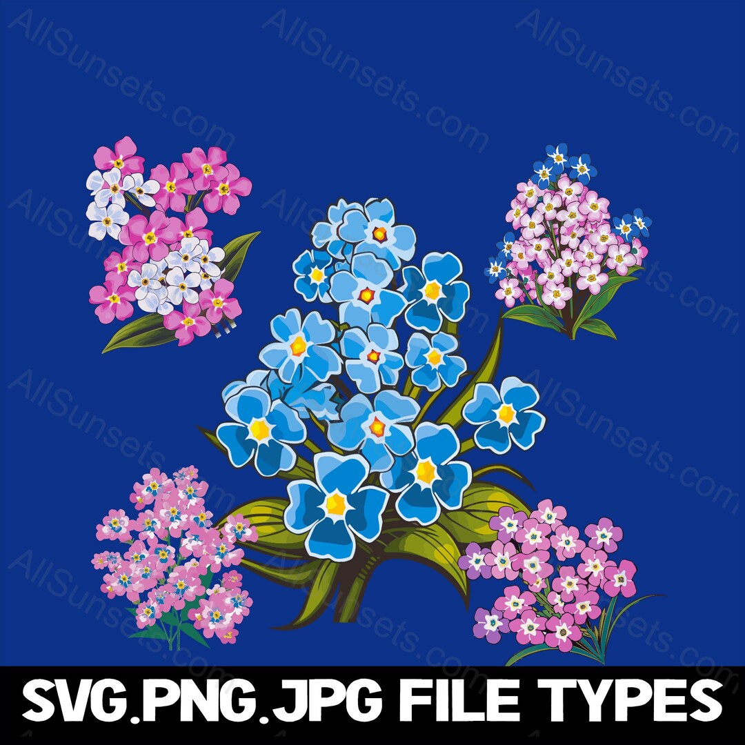 Alaska Forget-me-not Pretty Graphics Bundle Set of 5 Floral ...