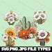 Arizona State Flower Pretty Saguaro Cactus Blossom Graphics Bundle ...