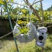 Decorative Koala Bear Crochet Air Plant Hanging Basket • Handmade ...