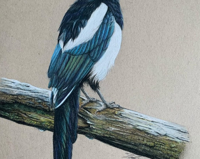 A3 Magpies Print - Etsy