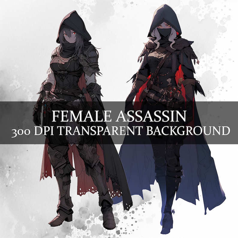 20 Female Assassin Clipart, Fantasy Female Rogue Clipart Bundle, Dnd ...