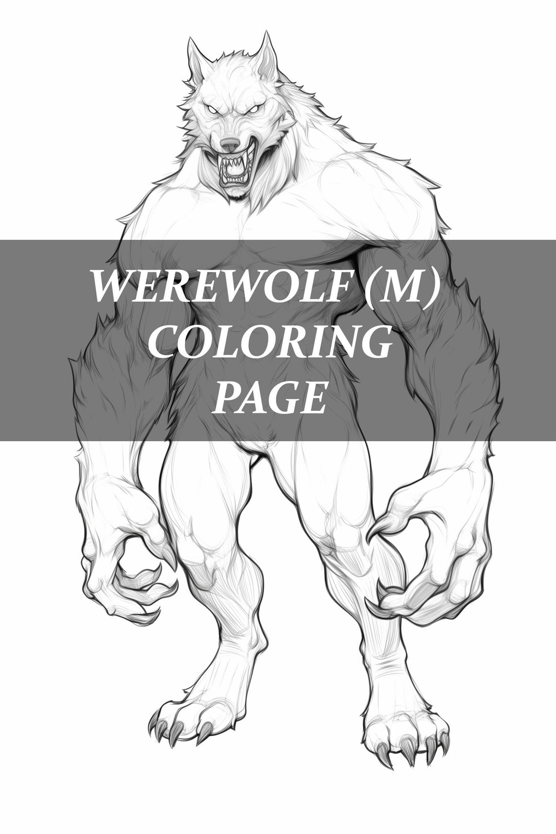 Werewolf Lineart Coloring Page: Printable PNG (digital Download) - Etsy