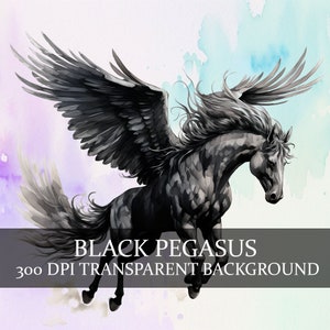 16 Black Pegasus Digital Clipart, Dark Pegasus Sublimation PNG, Pegasus ...
