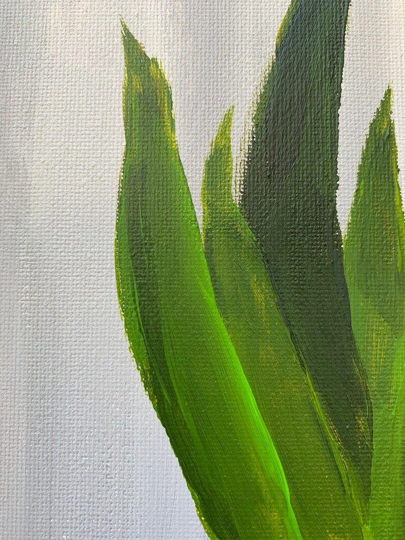Snake Plant Acrylic Painting - in Clay Pot - 12x12 Inches - Etsy