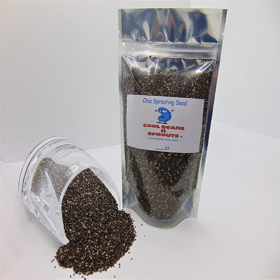Chia Seeds for Sprouting Microgreens COOL BEANS N SPROUTS - Etsy