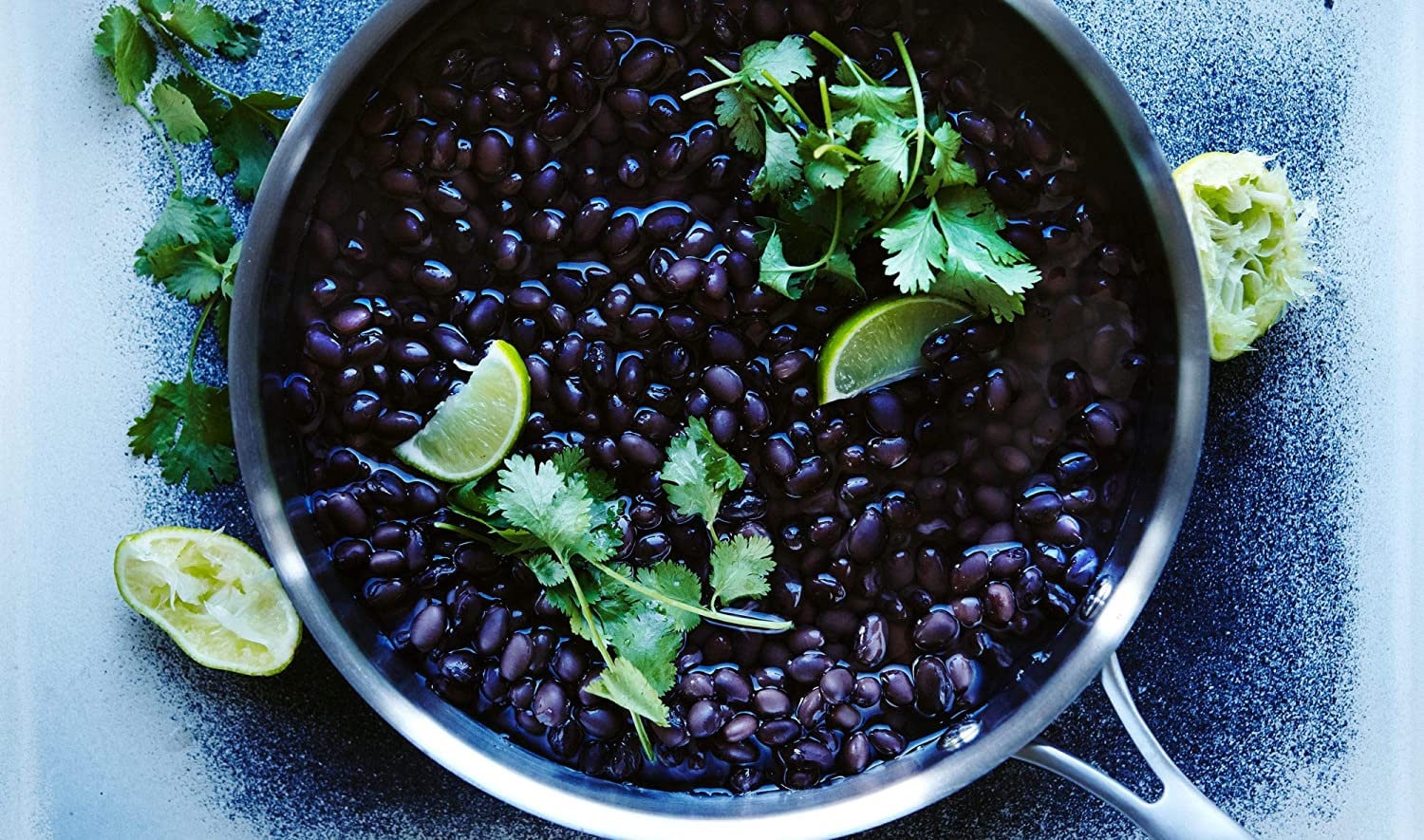 Bean Black Turtle Bean Seeds ,"cool BEANS N Sprouts" Brand. Home ...