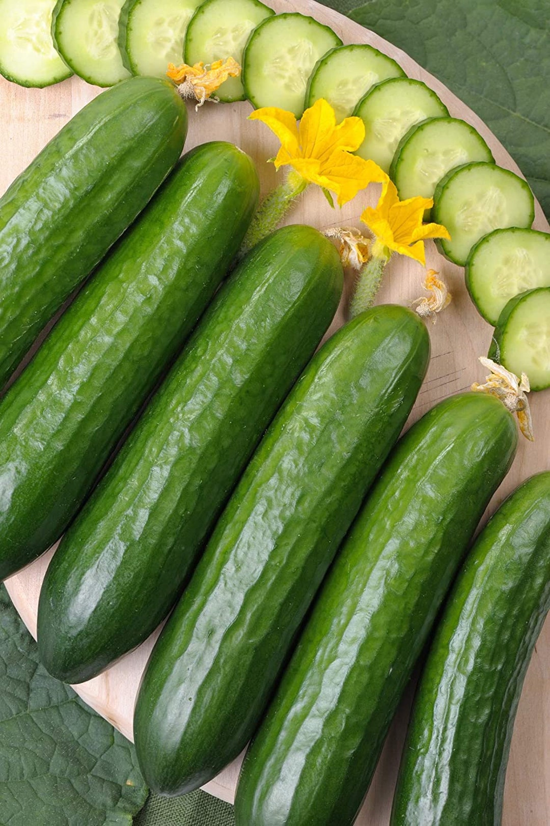 Cucumber Seed , Marketer Cucumber Seeds,"cool BEANS N Sprouts" Brand ...