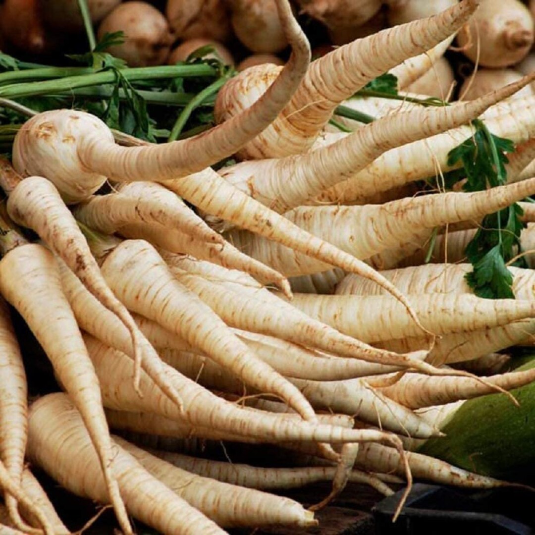 Harris Model Parsnip Seeds,"cool BEANS N Sprouts" Brand. Heirloom. Non ...