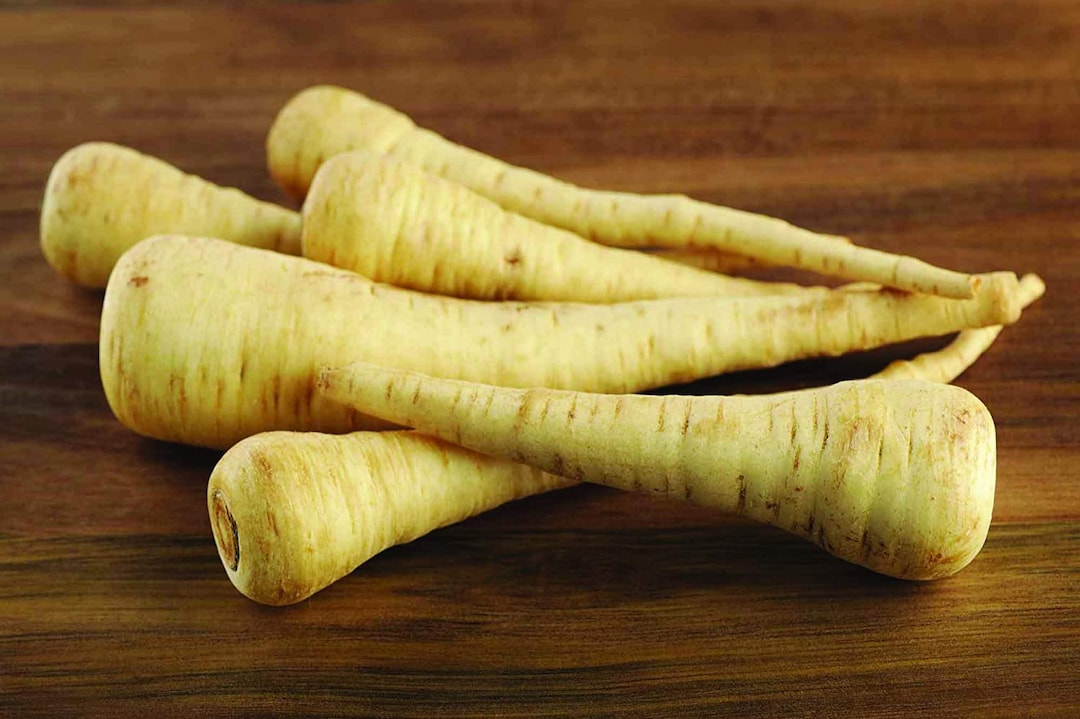 Parsnip Seeds, Hollow Crown Parsnip Seeds,"cool BEANS N Sprouts" Brand ...