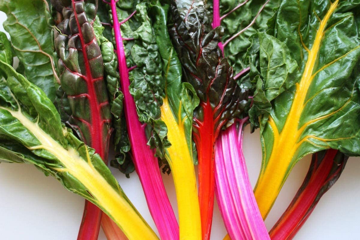Swiss Chard Seeds, Rainbow Swiss Chard Seeds,"cool BEANS N Sprouts ...