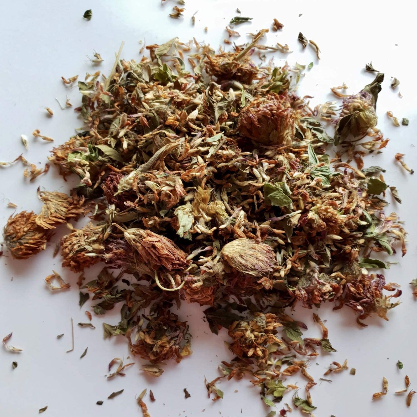 Clover Seeds Red Clover Seeds, "cool BEANS N Sprouts" Brand. Home ...