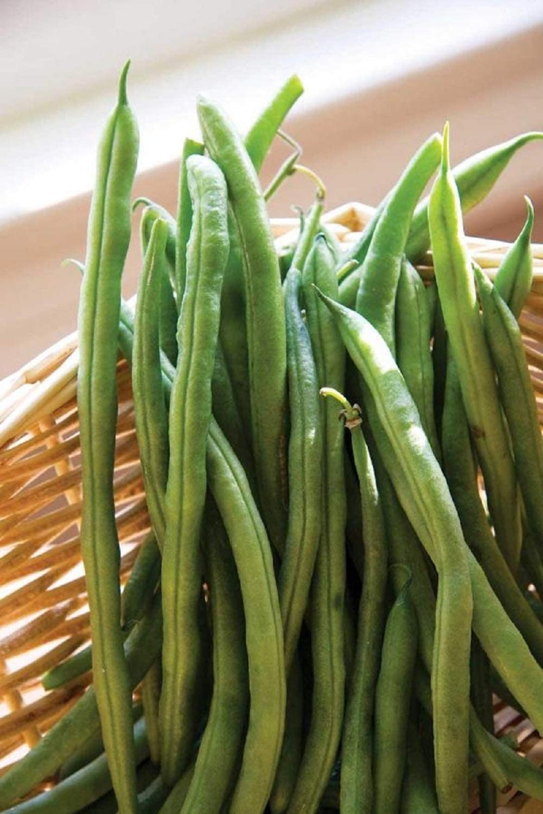 Bean Top Crop Bush Bean Seeds ,"cool BEANS N Sprouts" Brand. Home ...