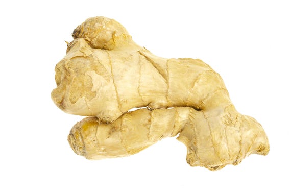 Rhizome Ginger Scientific Name