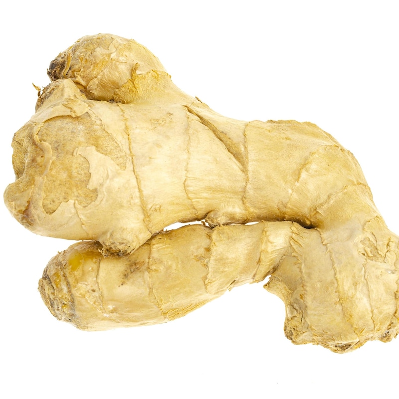 Red Ginger - Etsy