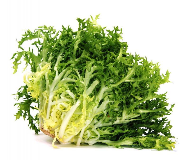 Escarole Italian Endive Seeds , Seeds to Grow Escarole in Your Home ...