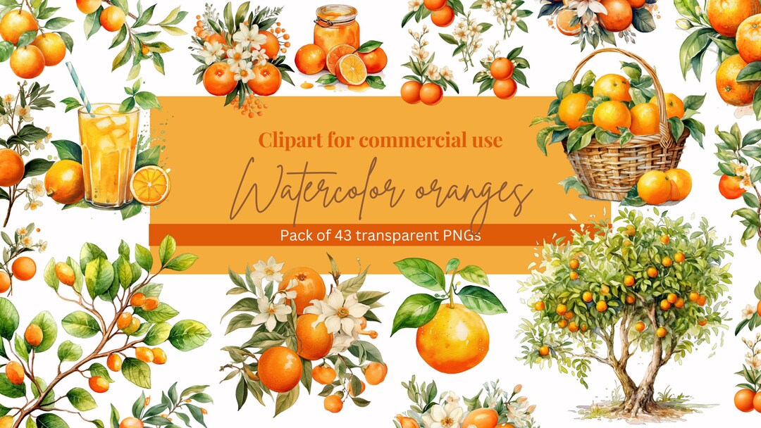 Watercolor Oranges Clipart Bundle - Citrus Fruit Graphics - Digital PNG ...