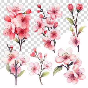 Watercolor Cherry Blossoms Clipart, Sakura, Floral Branches, Spring ...