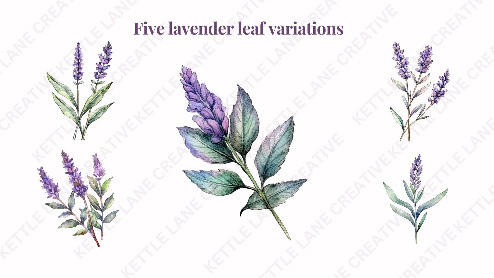 Watercolor Lavender Clipart - Floral Spring Transparent PNG Format ...