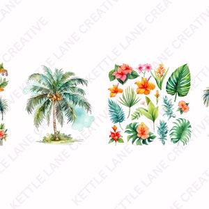 Tropical Watercolor Clipart - Tropical Summer Clipart - Watercolor ...