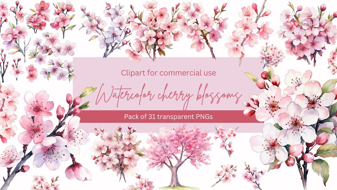 Watercolor Cherry Blossoms Clipart, Sakura, Floral Branches, Spring ...
