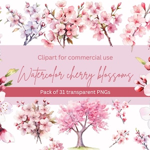Watercolor Cherry Blossoms Clipart, Sakura, Floral Branches, Spring ...