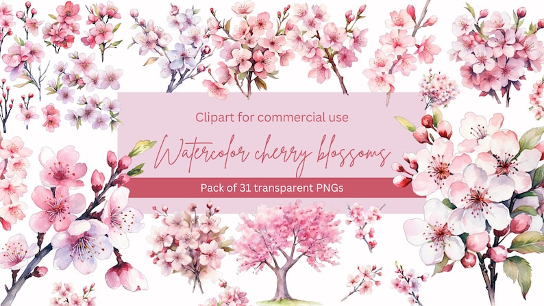 Watercolor Cherry Blossoms Clipart, Sakura, Floral Branches, Spring ...
