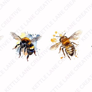 Watercolor Honey Bee Clipart, Spring Garden Bee, Honey Clip Art ...