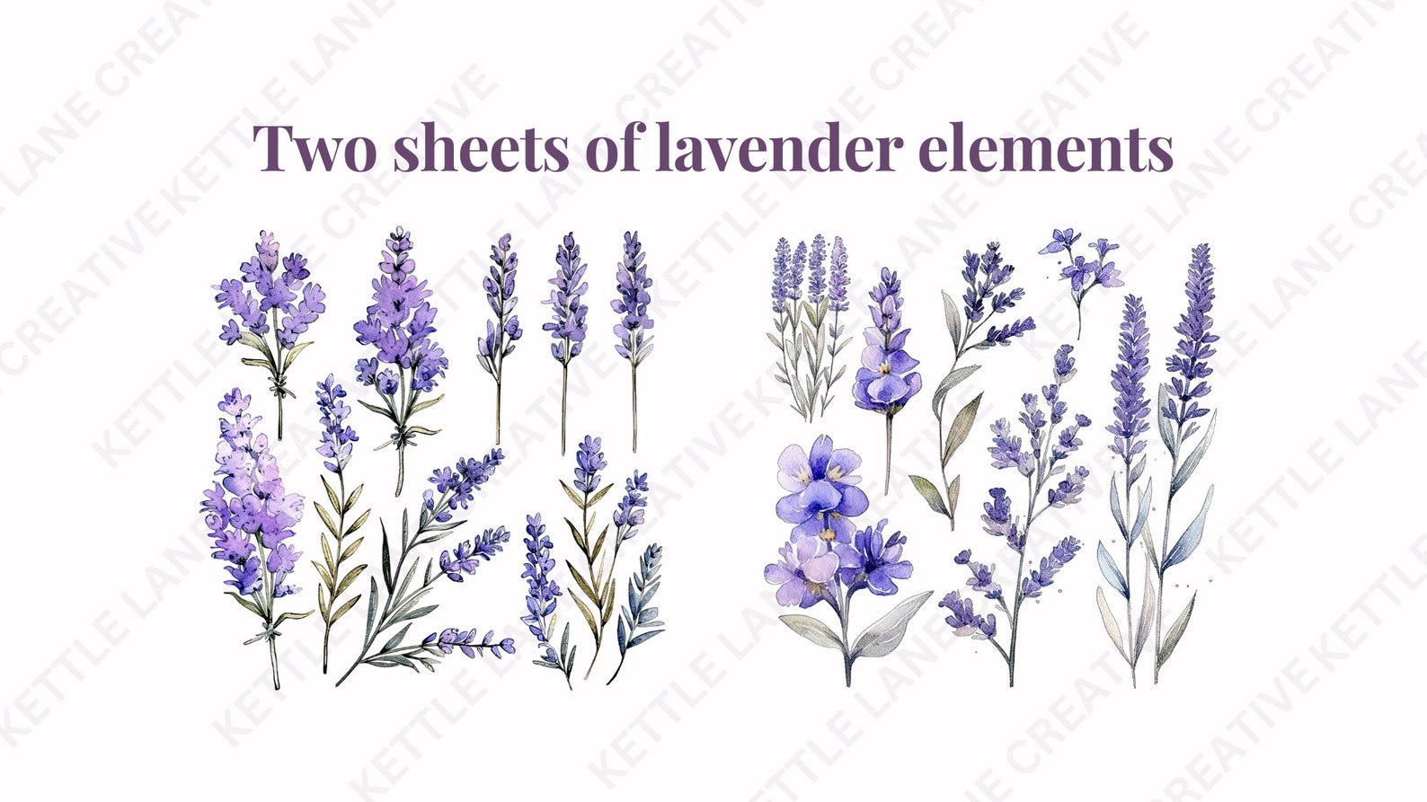 Watercolor Lavender Clipart - Floral Spring Transparent PNG Format ...