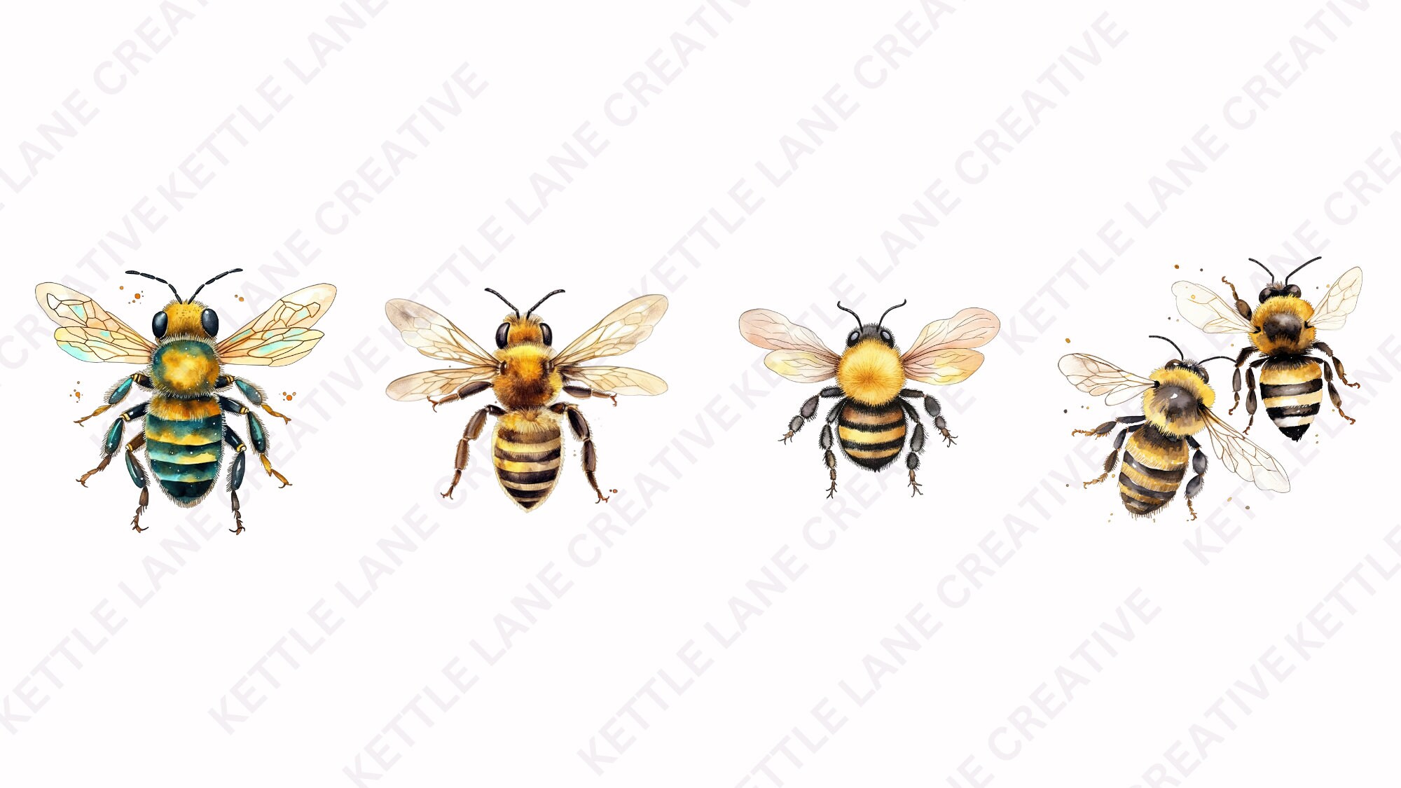 Watercolor Honey Bee Clipart, Spring Garden Bee, Honey Clip Art ...