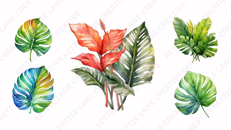 Tropical Watercolor Clipart Tropical Summer Clipart - Etsy