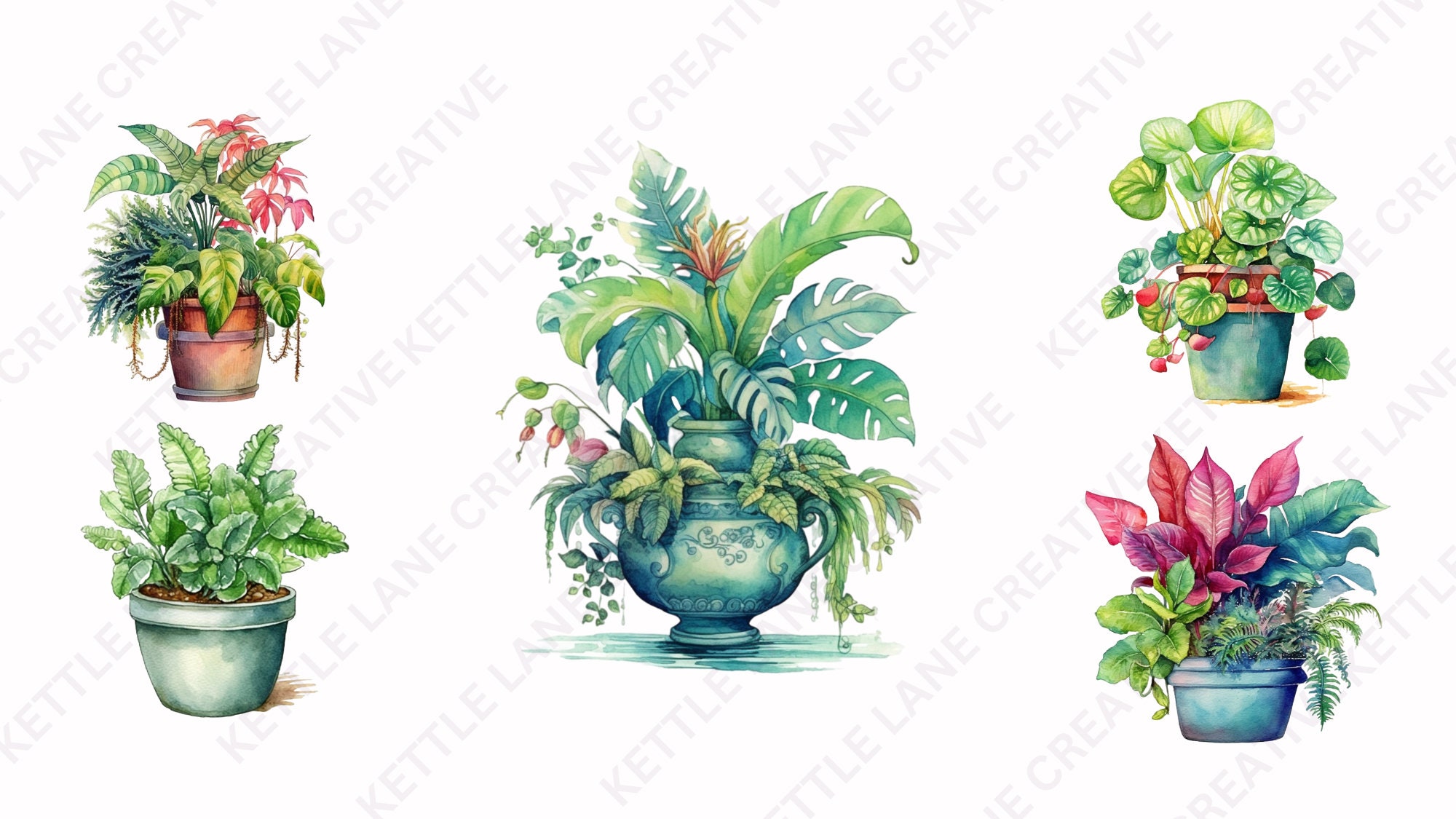 Watercolor Potted Plants Clipart House Plant Transparent PNG Format ...