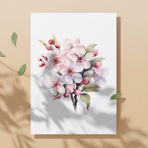 Watercolor Cherry Blossoms Clipart, Sakura, Floral Branches, Spring ...