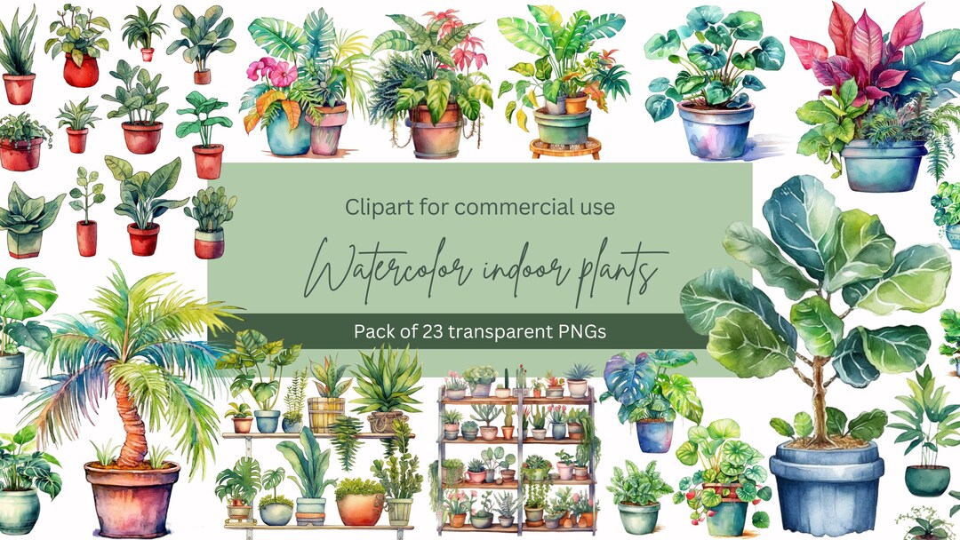 Watercolor Potted Plants Clipart - House Plant Transparent PNG Format ...