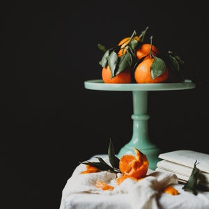 PHYSICAL PRINT Vertical Still Life Photography, Moody Dark Still Life ...