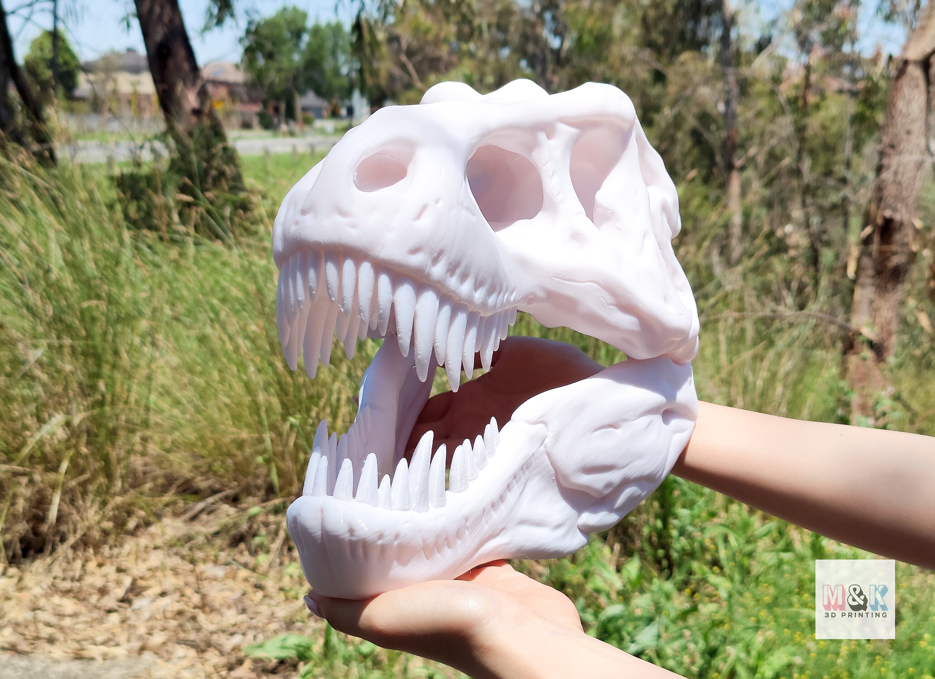 Jumbo T-rex Skull 3D Printed Dinosaur Skull Tyrannosaurus Rex Birthday ...
