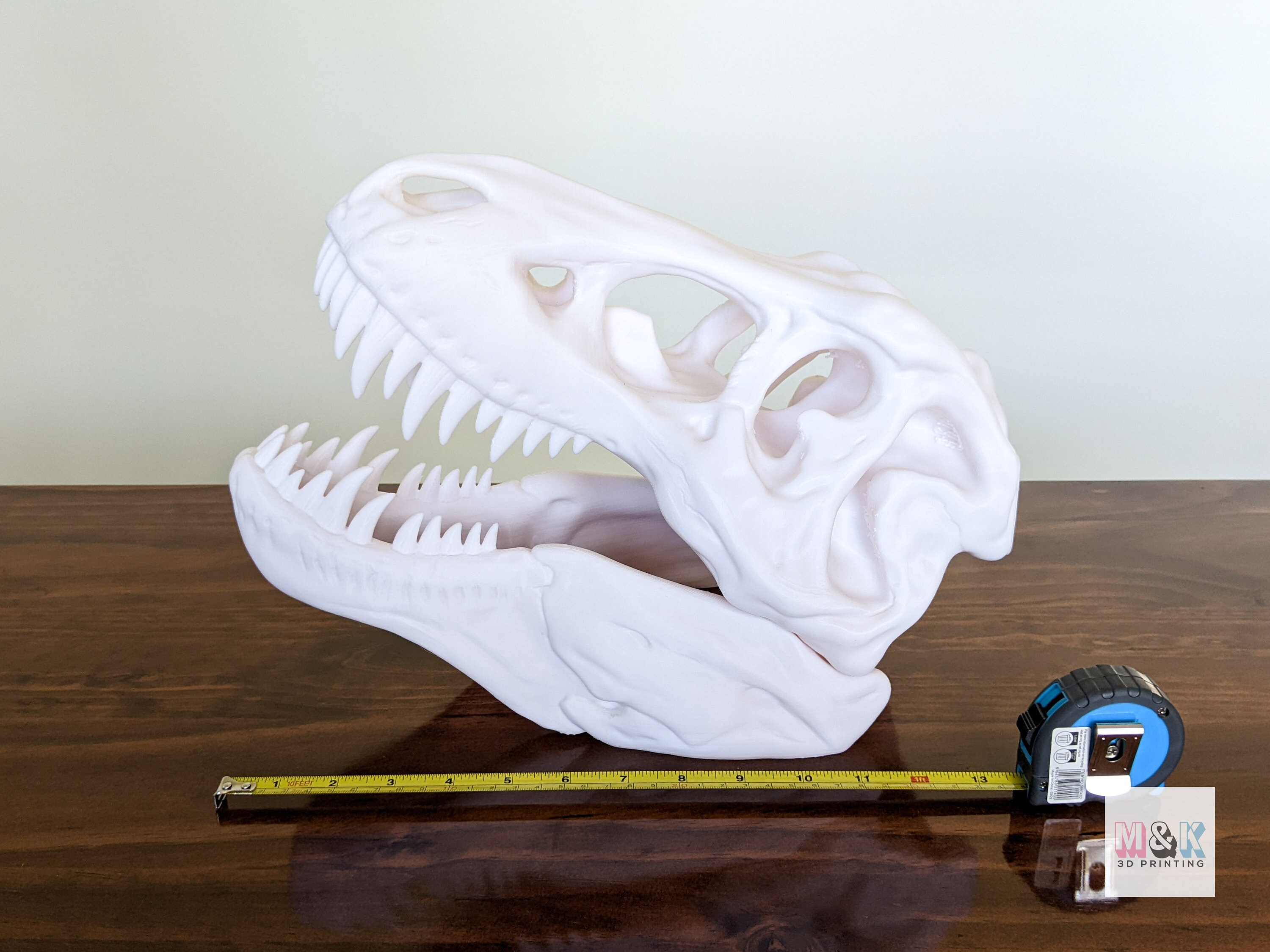 Jumbo T-rex Skull 3D Printed Dinosaur Skull Tyrannosaurus - Etsy Australia