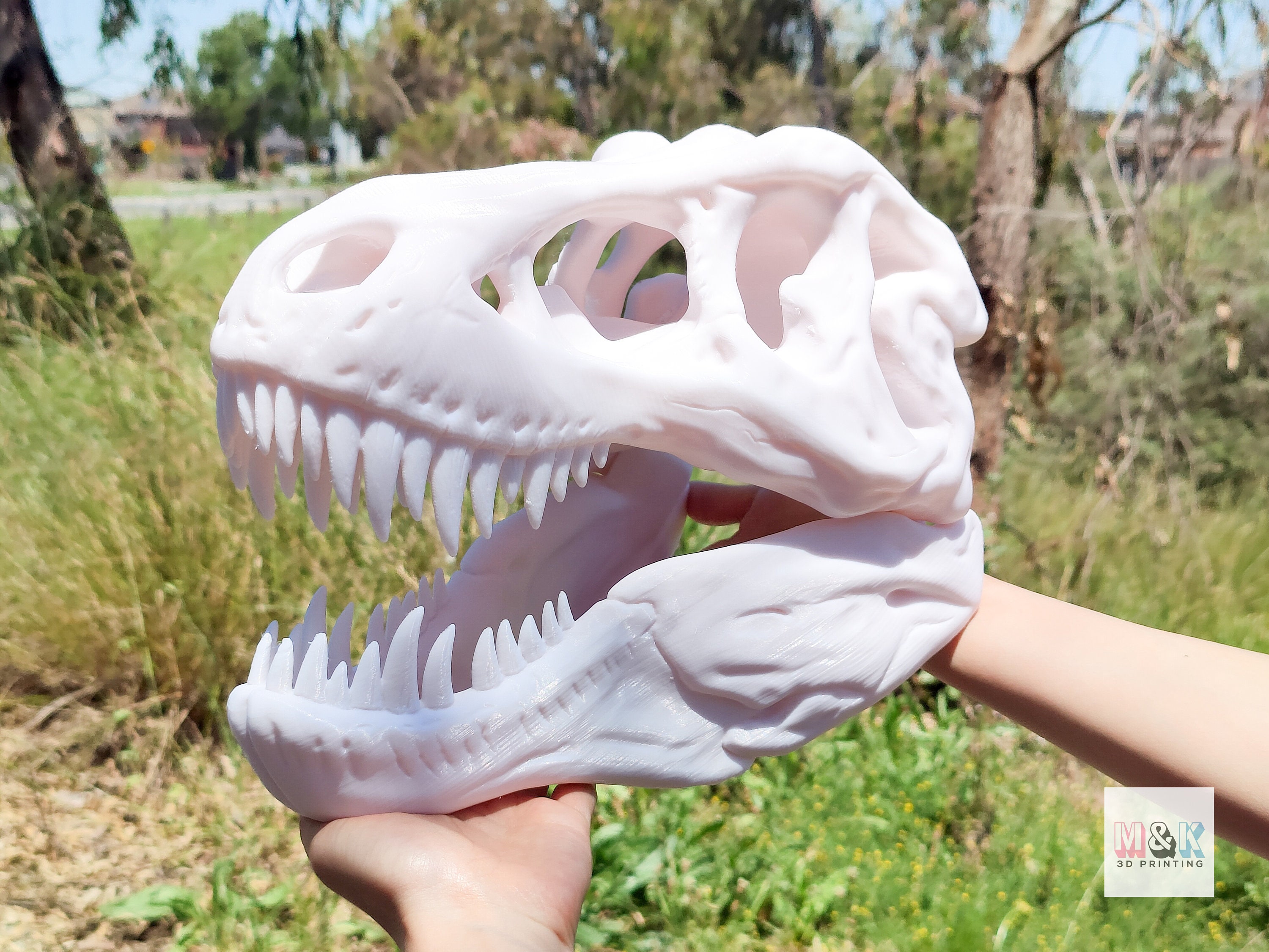 Jumbo T-rex Skull | 3D Printed Dinosaur Skull | Tyrannosaurus Rex ...