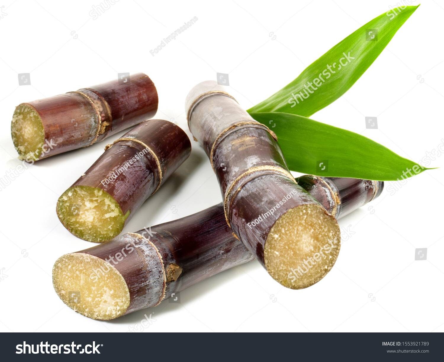 Red Sugarcane Live Plant Grown Organic 1-6ft Options Super Sweet and ...