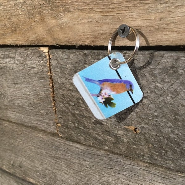 Cute Bluebird - Etsy