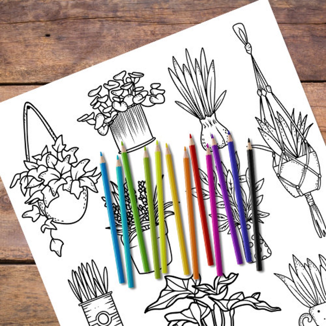 3x Plant Colouring Pages I Printables I PDF Download I Relax and Color ...