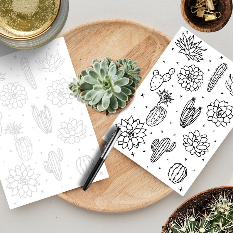 Succulent Tracing Pages - Etsy Australia
