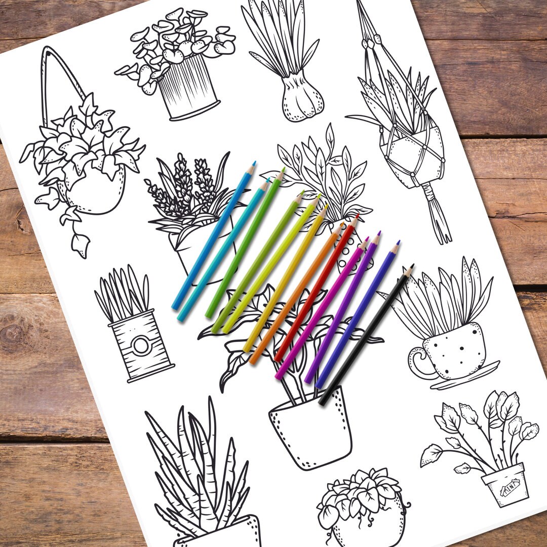 Botanical Coloring Pages: Mindful Plant Designs (PDF Download, A4 ...